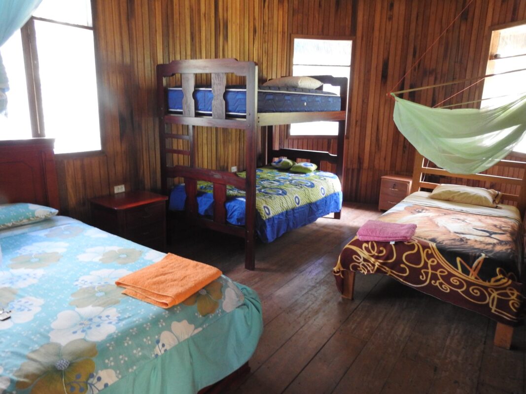 Yasuni Rainforest Tour - Amazon Expeditions