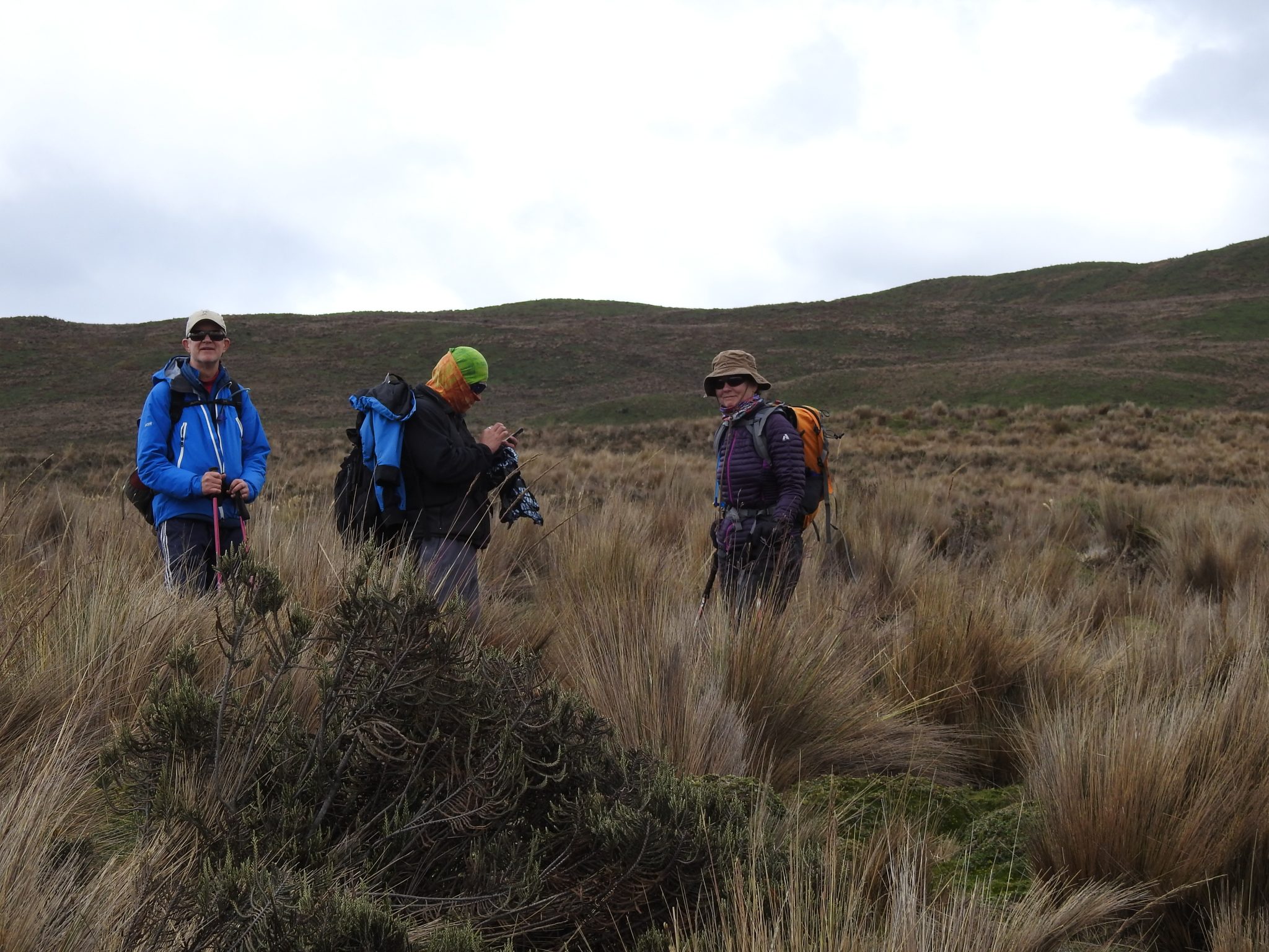 Condor Trek – Ecuador Eco Adventures - Ecuador Best Treking Tours